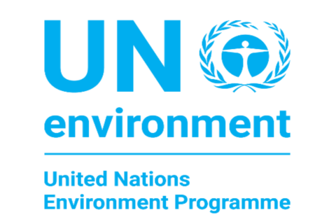 Reinhard Schmidt to take lead in UNEP Global Mercury Partnership ...